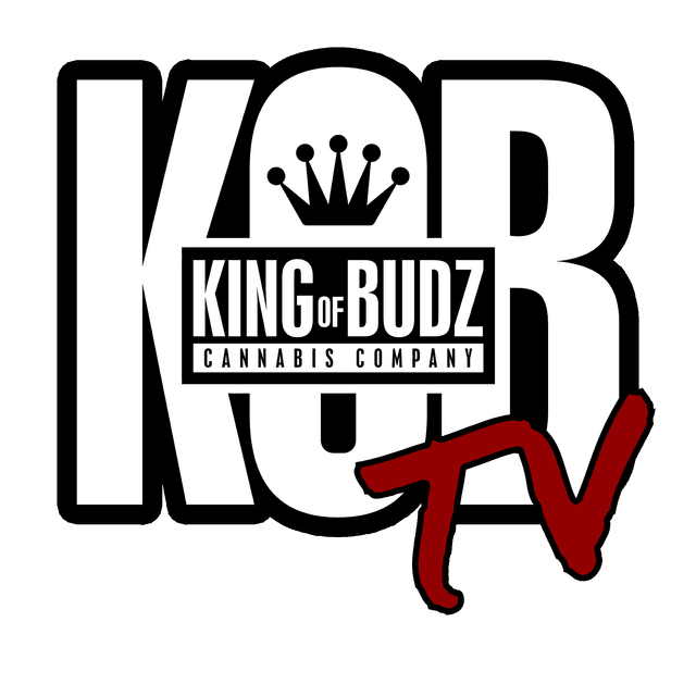 kob channel